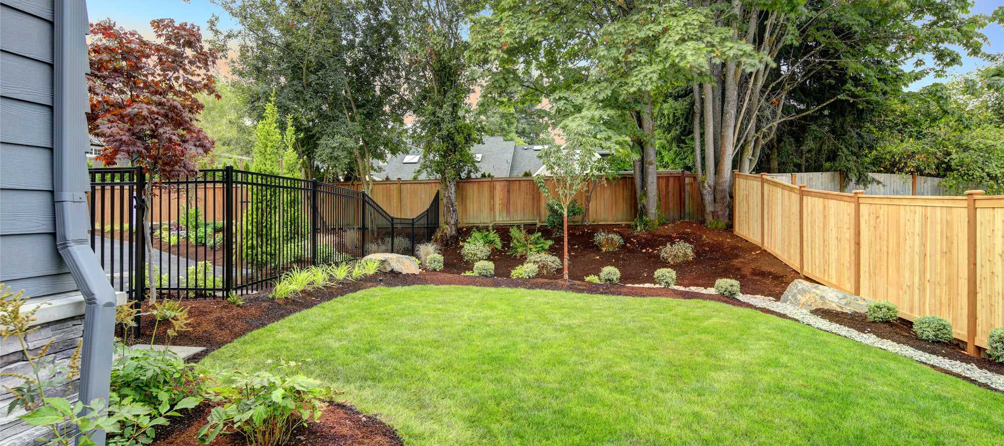 PlantingTree Fall Photo Contest for $250 - PlantingTree