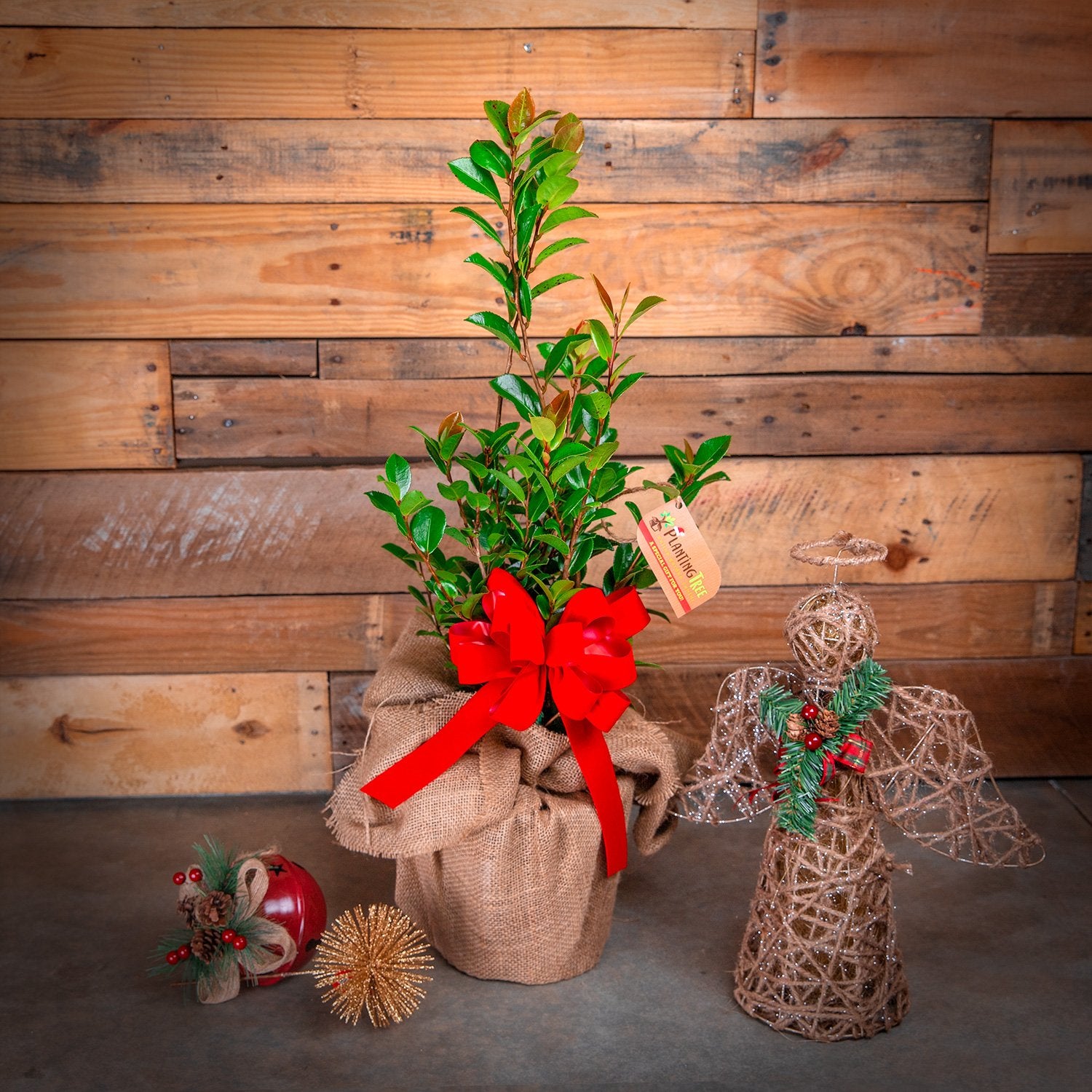 Tabletop Christmas Trees | October Magic Inspiration Camellia ...